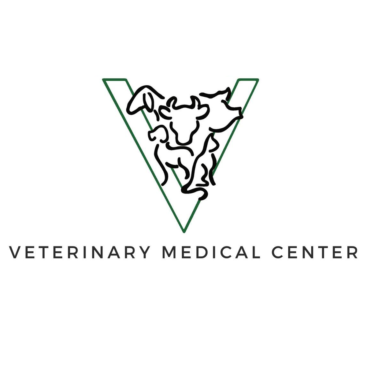 Veterinary Medical Center-Williamsburg IA