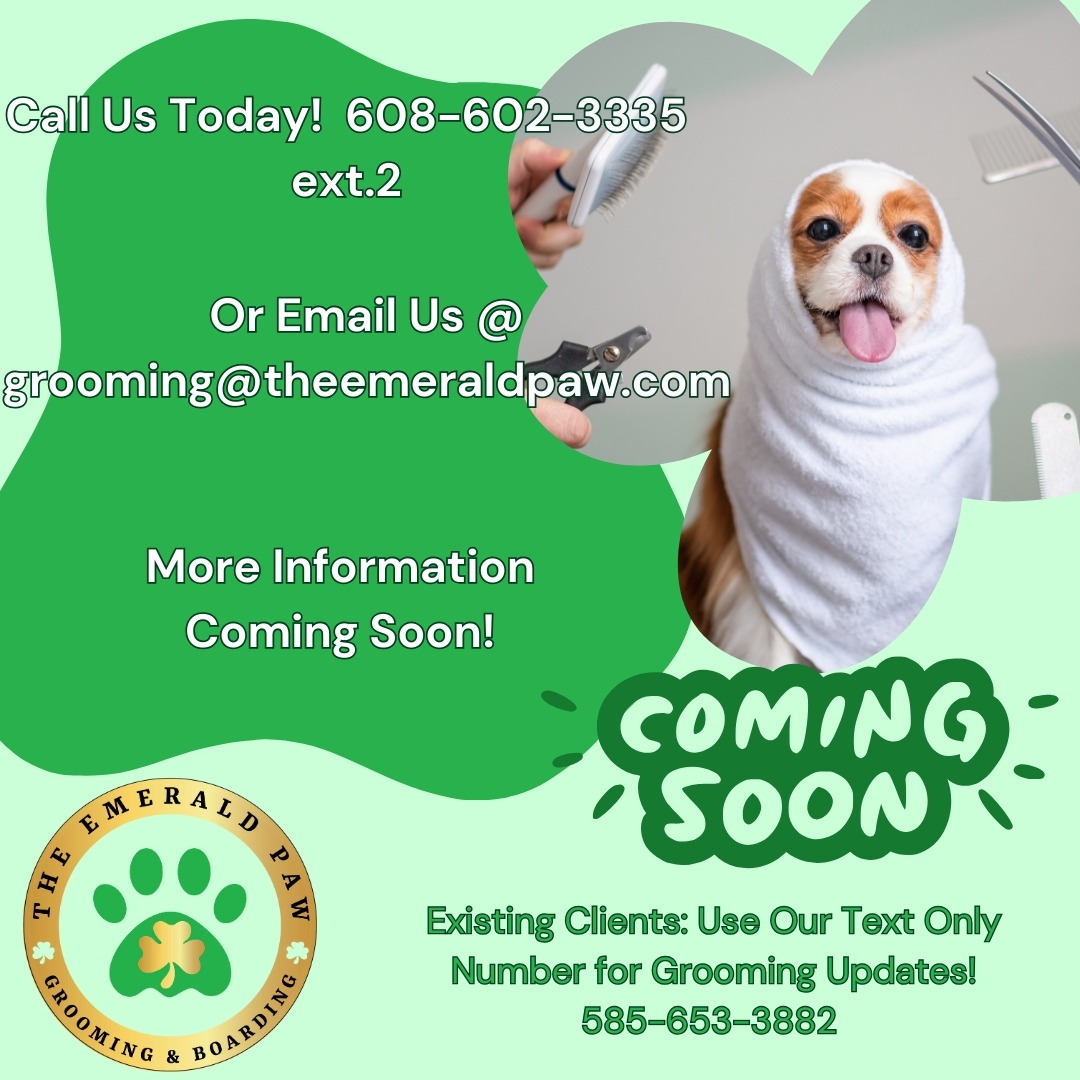 The Emerald Paw - Waunakee, WI